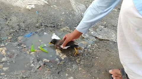 Helping Poor Stock Video Footage | Royalty Free Helping Poor Videos | Pond5