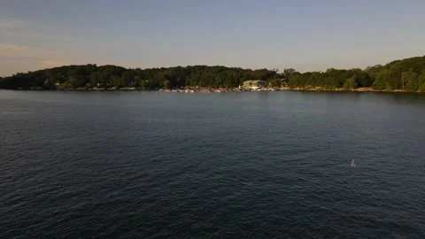 Birds soaring over lake during warm summ... | Stock Video | Pond5