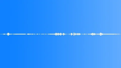 Birds Various Hummingbird Rare Trill Dive Bomb Wings Swoosh Pass By x 3 ...