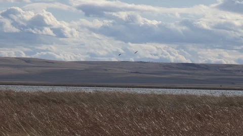 Winging Over Stock Videos – Royalty-Free HD & 4K Videos | Pond5