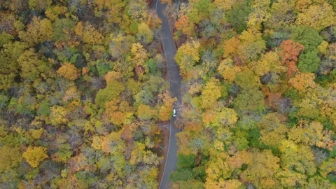 Birdseye Aerial View of White SUV Vehicl... | Stock Video | Pond5