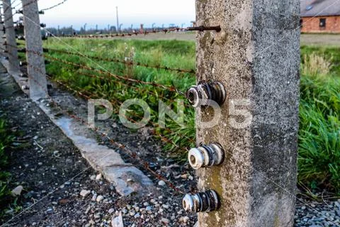 Birkenau, the largest concentration camp complex in the Third Reich ...