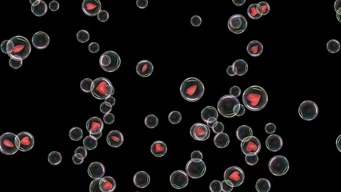 Soap Bubbles Alpha Stock Footage ~ Royalty Free Stock Videos | Pond5
