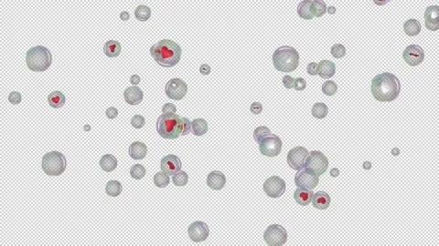 Soap Bubbles Alpha Stock Footage ~ Royalty Free Stock Videos | Pond5