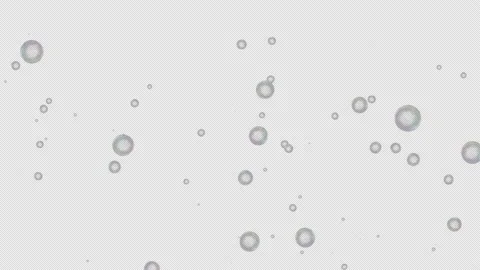 Soap Bubbles Alpha Stock Footage ~ Royalty Free Stock Videos | Pond5