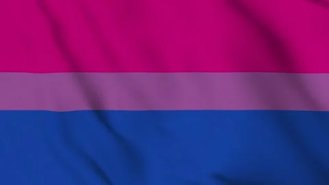 Bisexual Flag Stock Videos – Royalty-Free HD & 4K Videos | Page 3