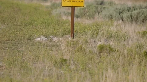 Sign Of The Beast Stock Video Footage | Royalty Free Sign Of The Beast ...