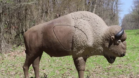 Archery Target 3D Stock Videos – Royalty-Free HD & 4K Videos