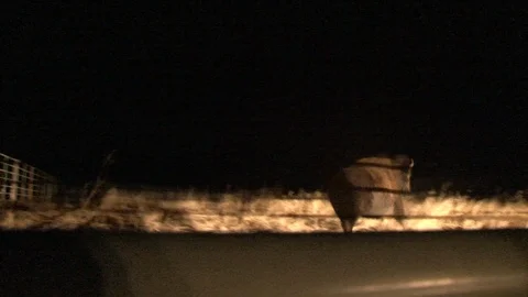 Headlight Running Stock Videos – Royalty-Free HD & 4K Videos | Pond5