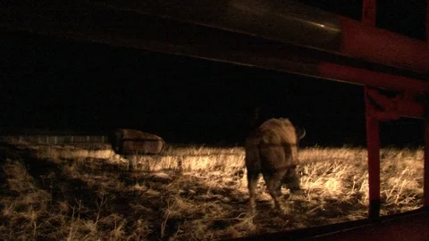 Headlight Running Stock Videos – Royalty-Free HD & 4K Videos | Pond5