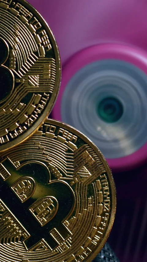 Pinside Com Stock Videos – Royalty-Free HD & 4K Videos | Pond5