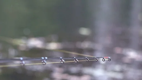 Bites on a fishing rod on the river. Fis... | Stock Video | Pond5
