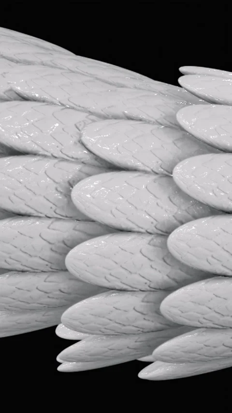 Snake Movement Animation Stock Footage ~ Royalty Free Stock Videos | Pond5