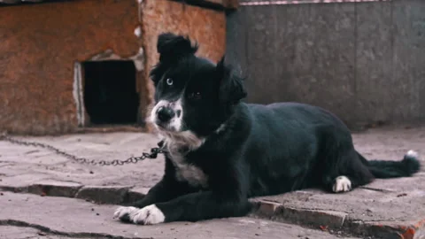 Resting Booth Stock Videos – Royalty-Free HD & 4K Videos