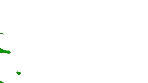 Photo Image Man Stock Videos – Royalty-Free HD & 4K Videos | Pond5