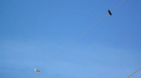 Black Rock Company Stock Videos – Royalty-Free HD & 4K Videos