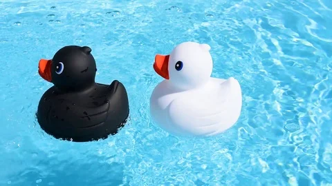 Floating Rubber Duck Stock Footage ~ Royalty Free Stock Videos | Pond5