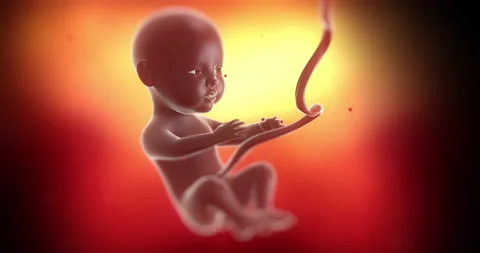 Black baby fetus slowly moving inside of... | Stock Video | Pond5
