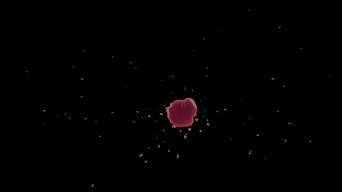 Blood Drops Motion Stock Footage ~ Royalty Free Stock Videos | Pond5