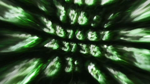 Script Spider Stock Footage ~ Royalty Free Stock Videos | Pond5