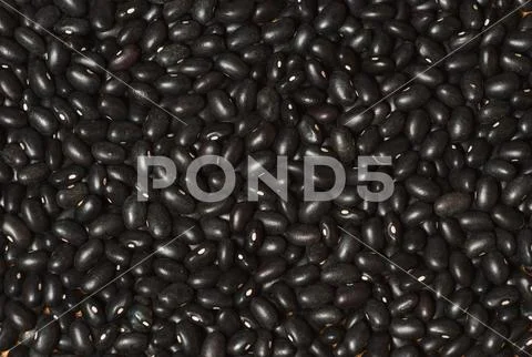 Photograph: Black beans are a source of plant-based protein for a ...