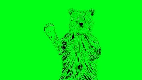 Black Bear Green Screen Stock Video Footage | Royalty Free Black Bear ...