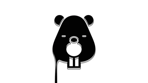 Beaver Video Stock Videos – Royalty-Free HD & 4K Videos | Page 2