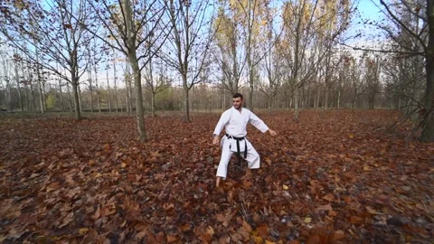 Black Karate Man Stock Videos – Royalty-Free HD & 4K Videos | Pond5