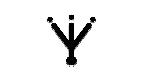 Animals Footprint Stock Videos – Royalty-Free HD & 4K Videos | Page 4