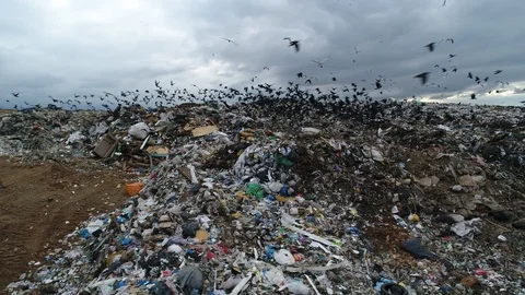 Stock Video Footage | Royalty Free Videos | Pond5