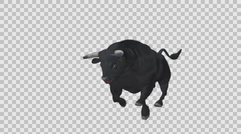 Agressive Stock Video Footage | Royalty Free Agressive Videos | Pond5