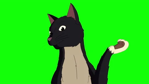 Meows Cat Stock Videos – Royalty-Free HD & 4K Videos | Page 3