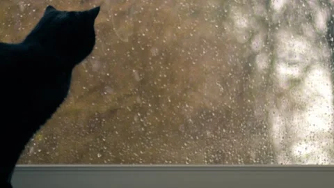 Frozen Watches Stock Videos – Royalty-Free HD & 4K Videos