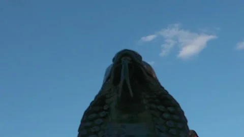 Black cobra attack camera close-up - Dan... | Stock Video | Pond5