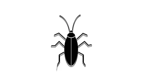 Black Cockroach icon isolated on white b... | Stock Video | Pond5