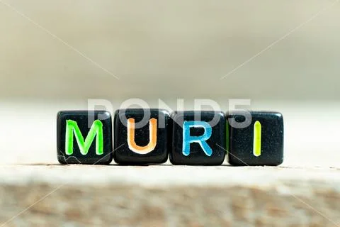 Black color block with muri word on wood background ~ Hi Res #146844598