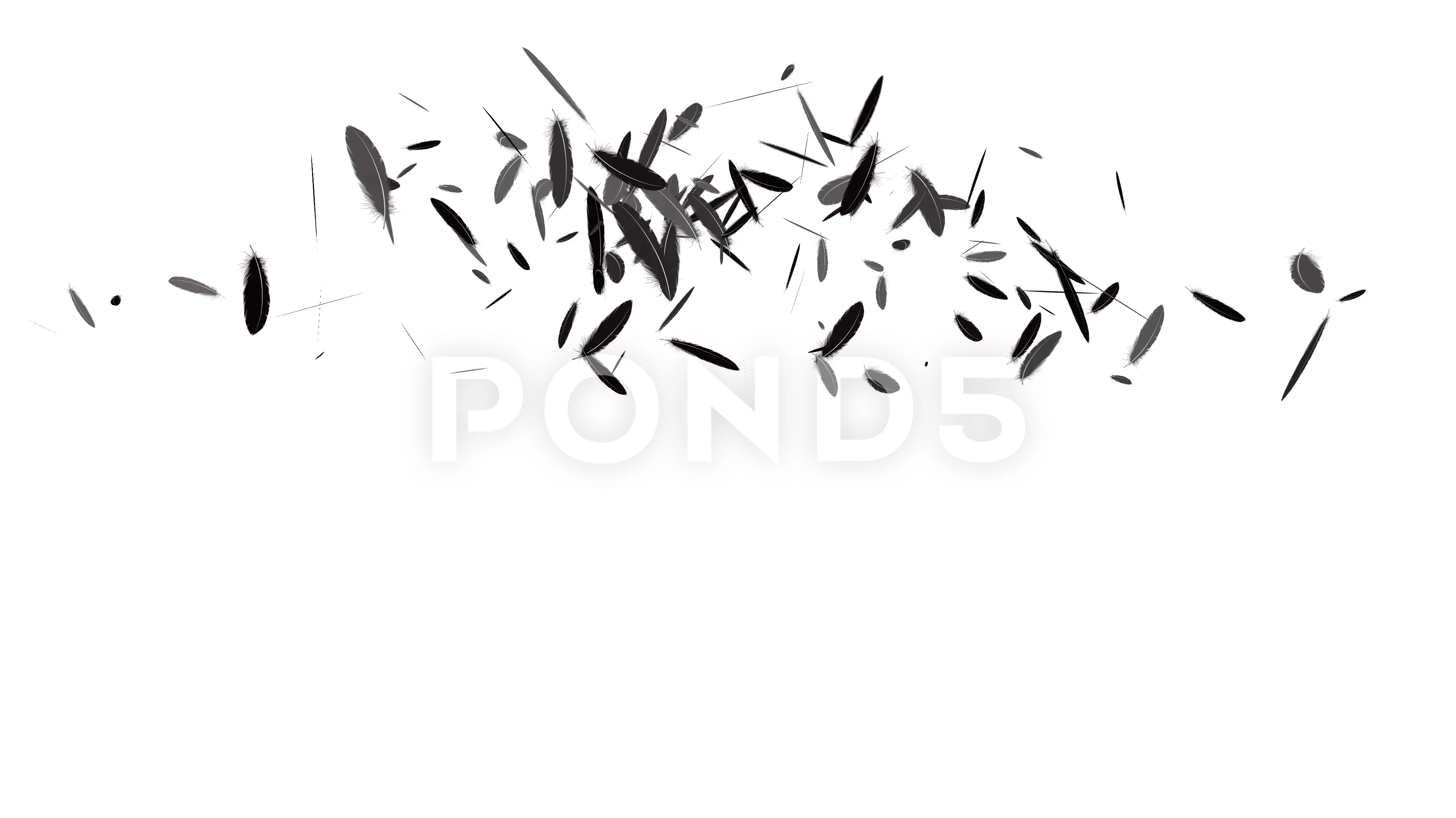 Eraser Shavings Png