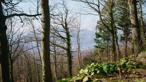 Black Forest Castle Side Ledge Wall View... | Stock Video | Pond5