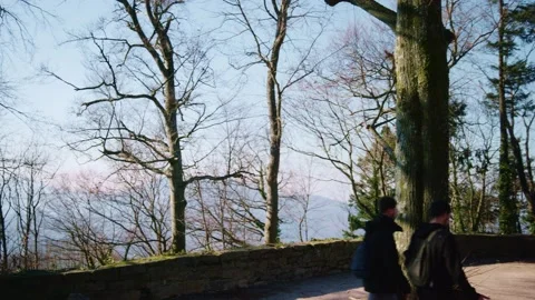 Black Forest Castle Side Ledge Wall View... | Stock Video | Pond5