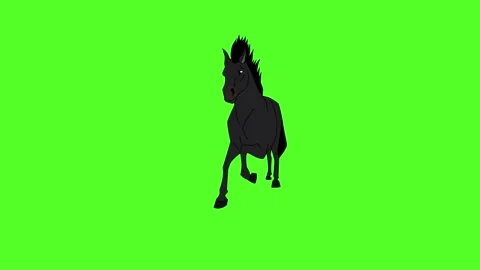 Black Horse running cycle Front view Gre... | Stock Video | Pond5