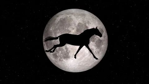 Animation Horse Full Stock Videos – Royalty-Free HD & 4K Videos | Page 2