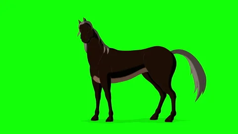 Animation Horse Full Stock Videos – Royalty-Free HD & 4K Videos | Page 2