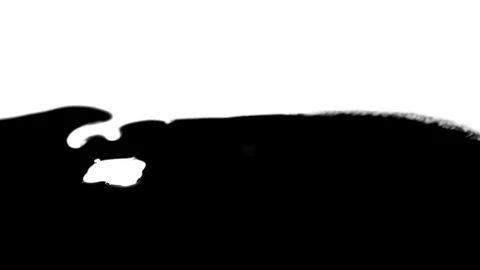 Ink Run Stock Video Footage | Royalty Free Ink Run Videos | Pond5