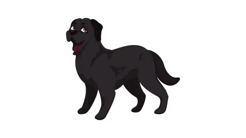 It Beg Drawing Stock Video Footage | Royalty Free It Beg Drawing Videos ...