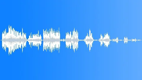 Black Leopard Sound Effects ~ Black Leopard Sounds | Pond5