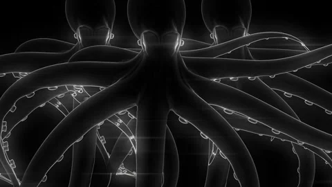 Full Team Videos Stock Videos – Royalty-Free HD & 4K Videos | Pond5