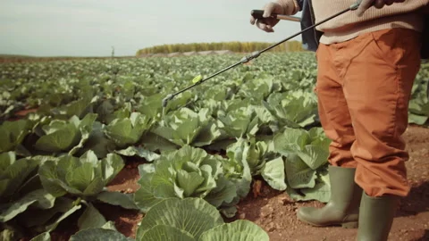 Black Man in Mask Spraying Cabbage on Fa... | Stock Video | Pond5