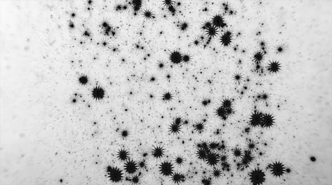 Black particles floating in liquid on wh... | Stock Video | Pond5