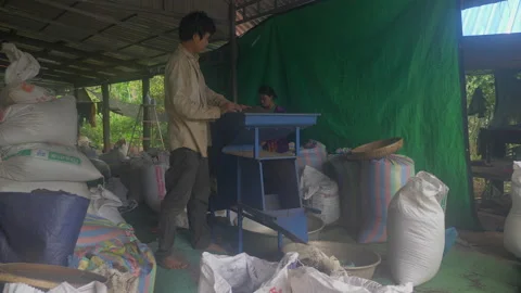 Bofl Grain Stock Videos – Royalty-Free HD & 4K Videos | Pond5