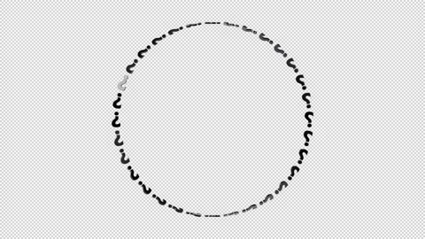 Black Question Mark Circle Frame Isolate... | Stock Video | Pond5